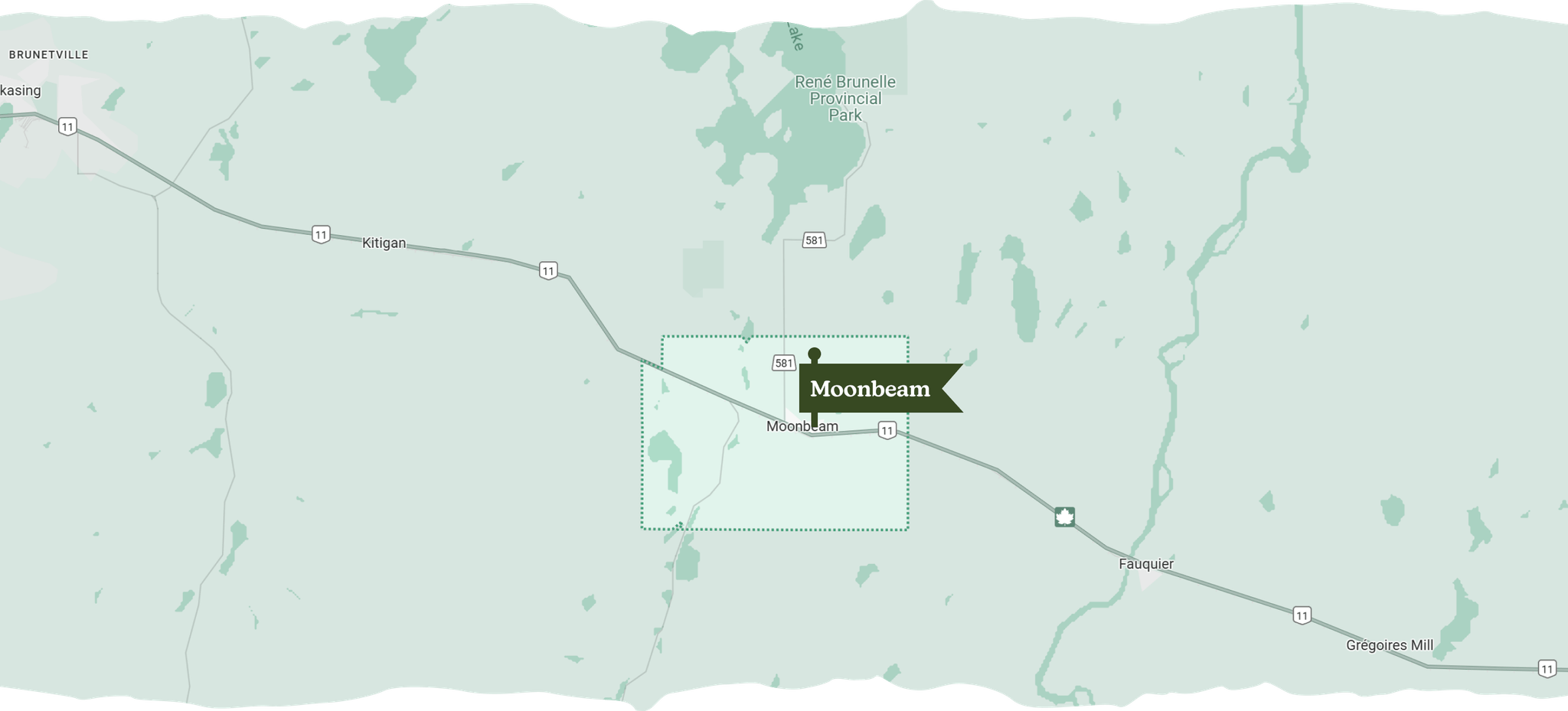 Moonbeam | The Seven